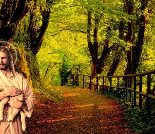 Paisios Agios Pater - Paisios.gr | Άγιος Παΐσιος o Πάτερ του Αγίου ...